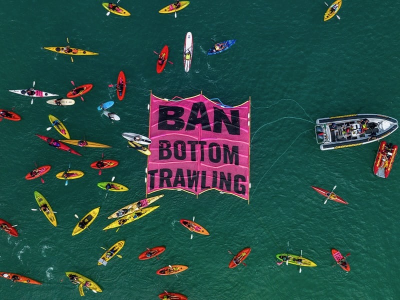Hundreds turn out to oppose Hauraki Gulf bottom trawling